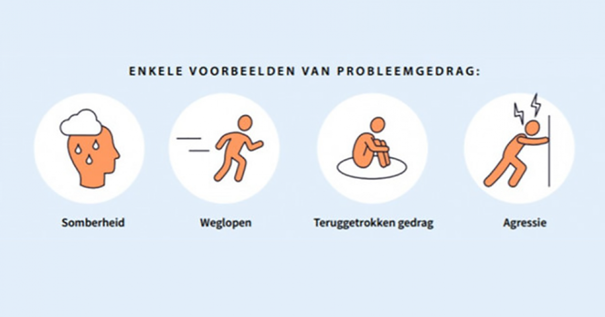 Verbetermogelijkheden voor beeldvorming bij probleemgedrag | Vereniging ...