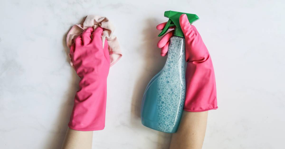 Infectiepreventie in de gehandicaptenzorg: over schoon en vies ...